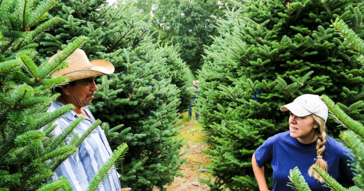 Healthcare Access for NC Farmworkers: A New Initiative at Hart-T-Tree ...